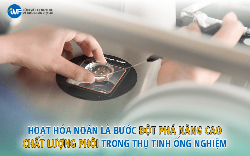 KỸ THUẬT HOẠT HÓA NOÃN (AOA) TRONG IVF LÀ GÌ? - Bệnh Viện Nam Học Hiếm ...